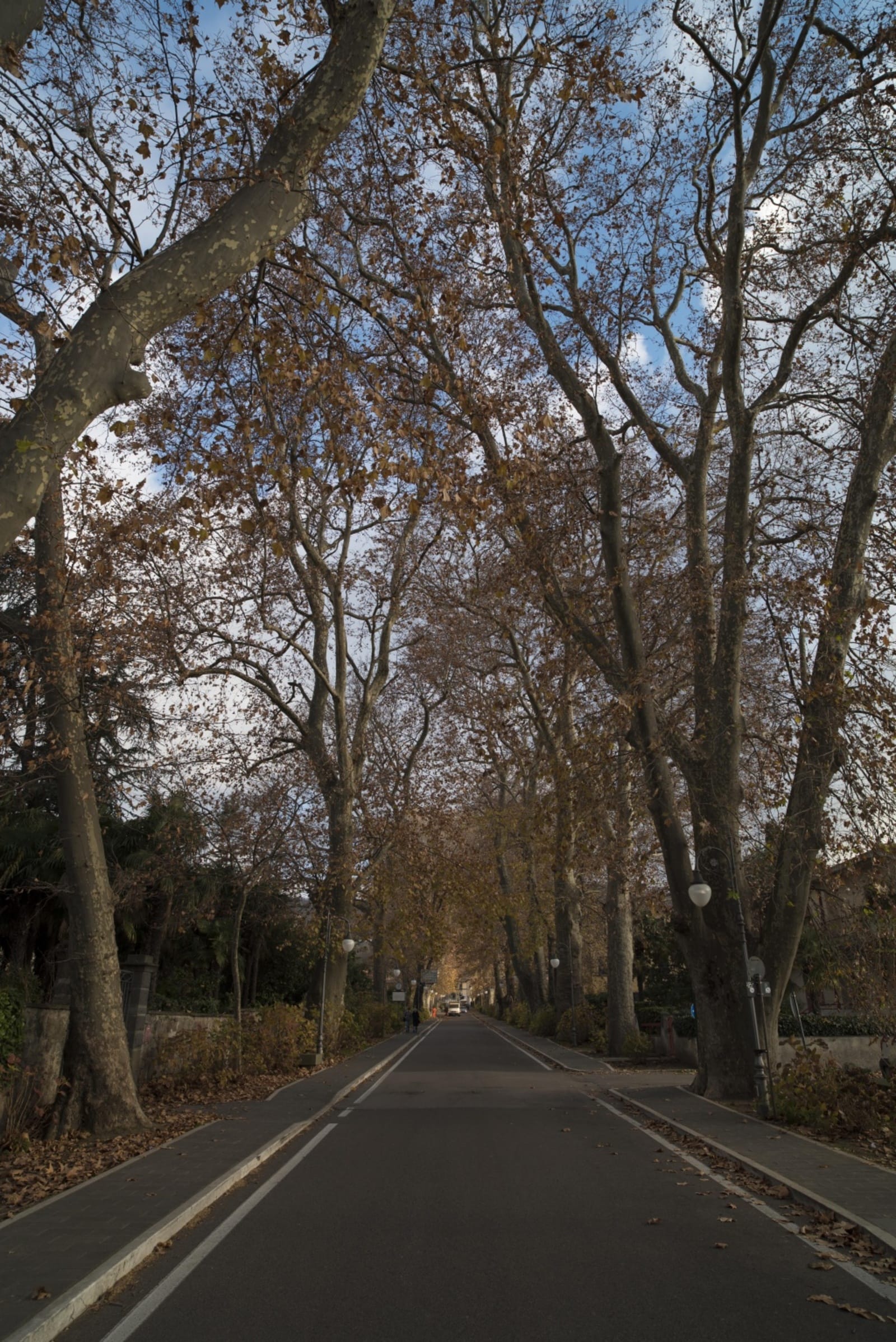 Viale Monumentale Colesanti » Visit Bolsena